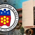 BIR 2303 Meaning - Triple i Consulting